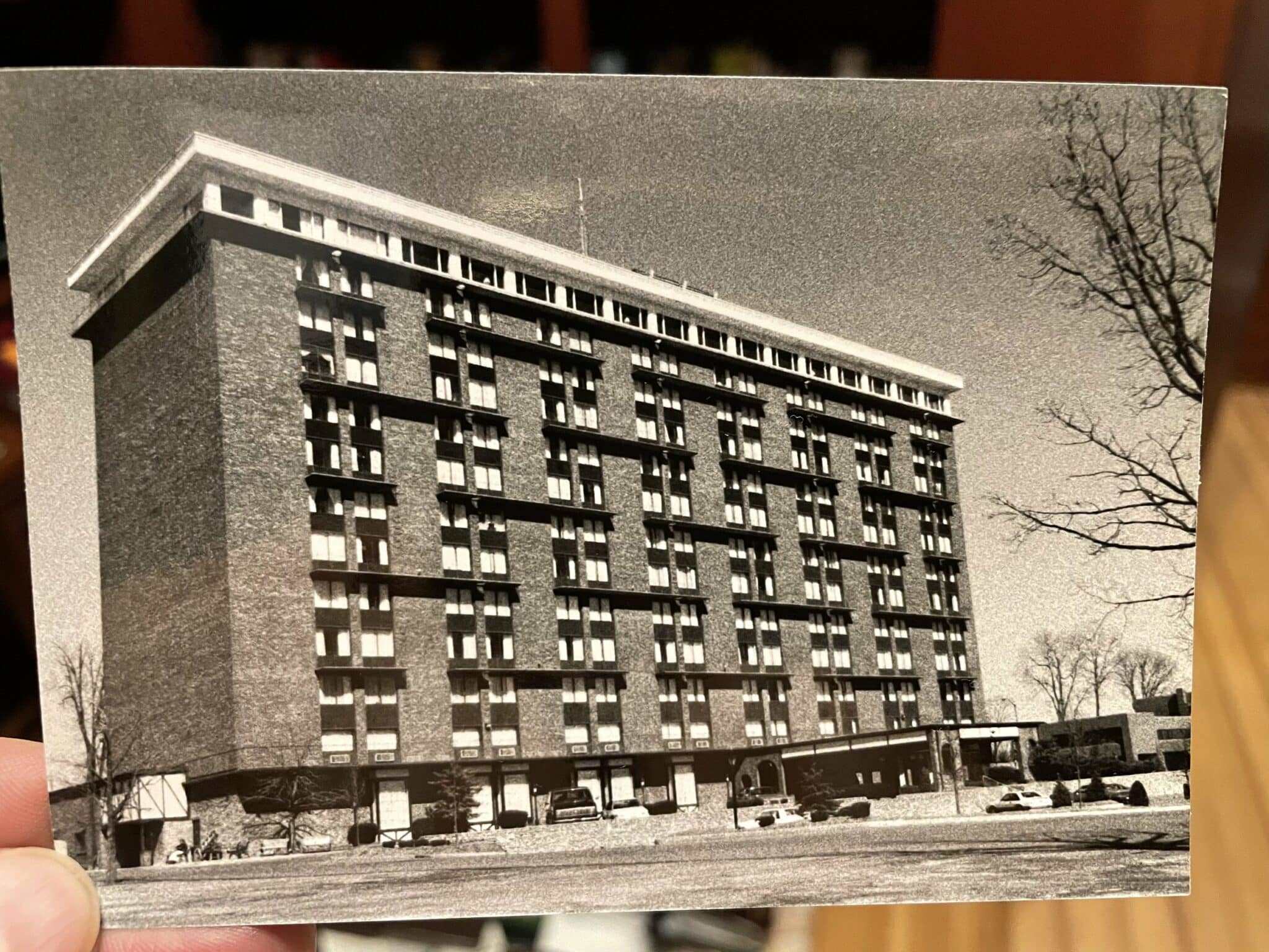 After Escaping the Shiny Happy People, I Still Had Survivor's Guilt