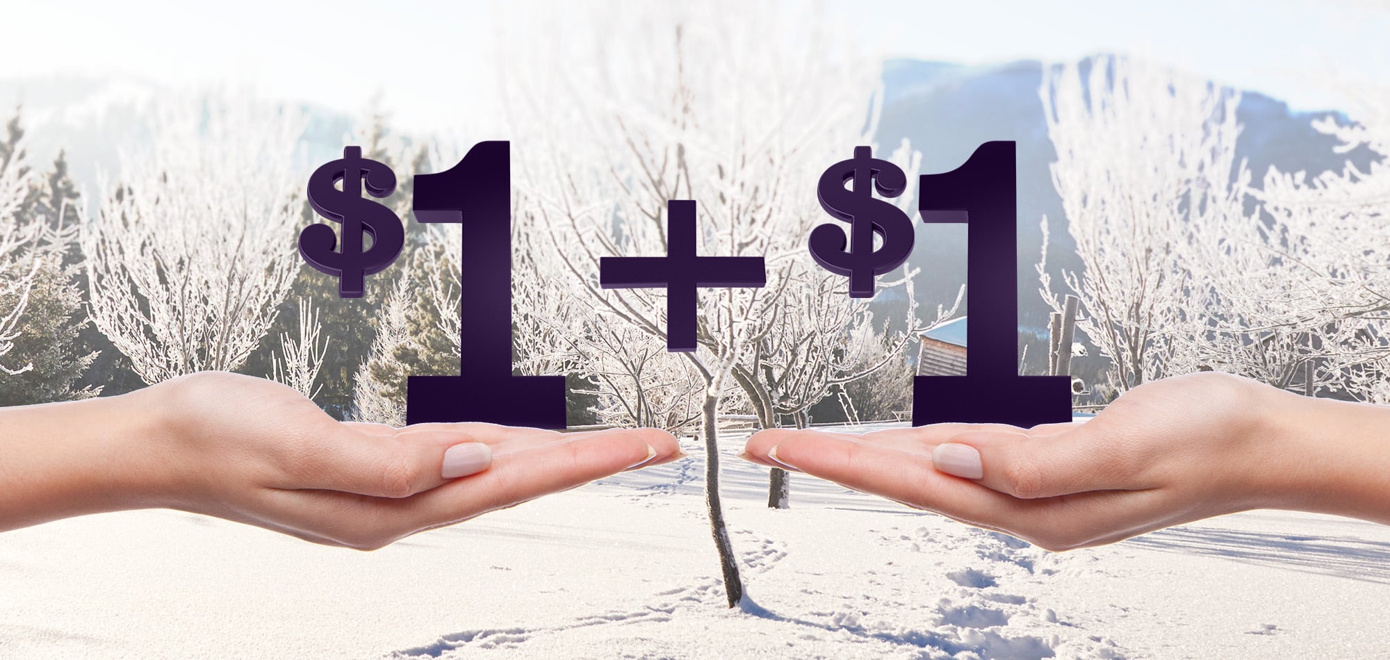 Study Reveals Which Denominations Hold Strongest Beliefs on Tithing