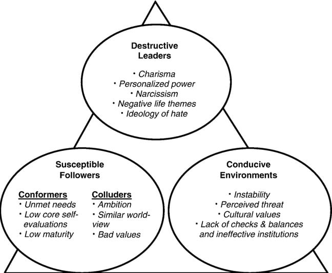 'The Toxic Triangle': Understanding What Factors Enable Abuse